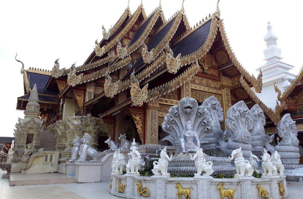Lamphun Temple Tour from Chiang Mai with Khao Soi & Cats - TakeMeTour