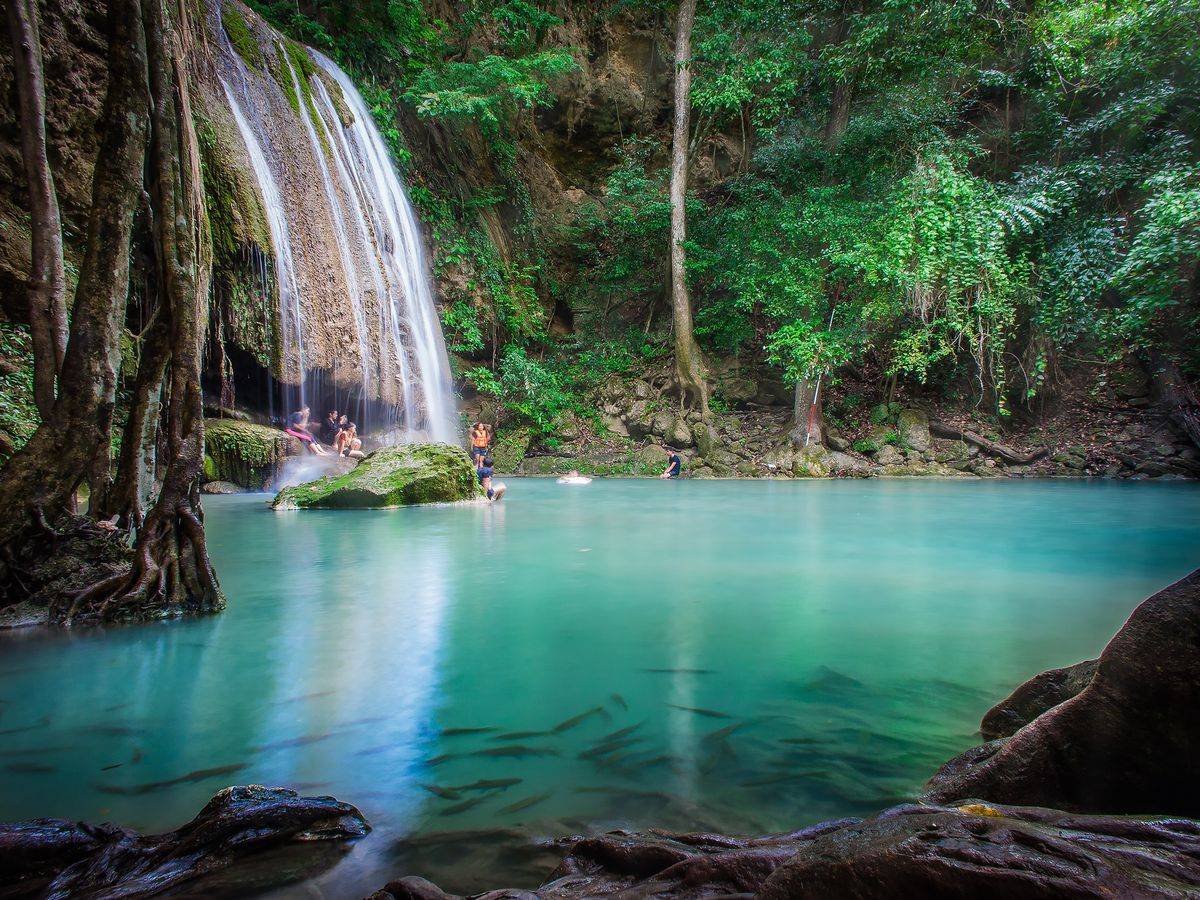 Kanchanaburi : Erawan Waterfall and Nature Trail - TakeMeTour