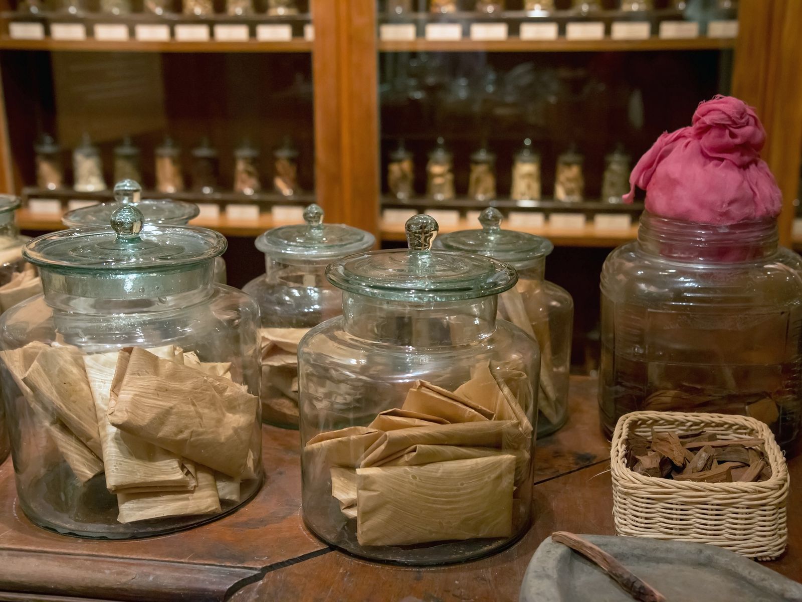 Siriraj Medical Museum | TakeMeTour