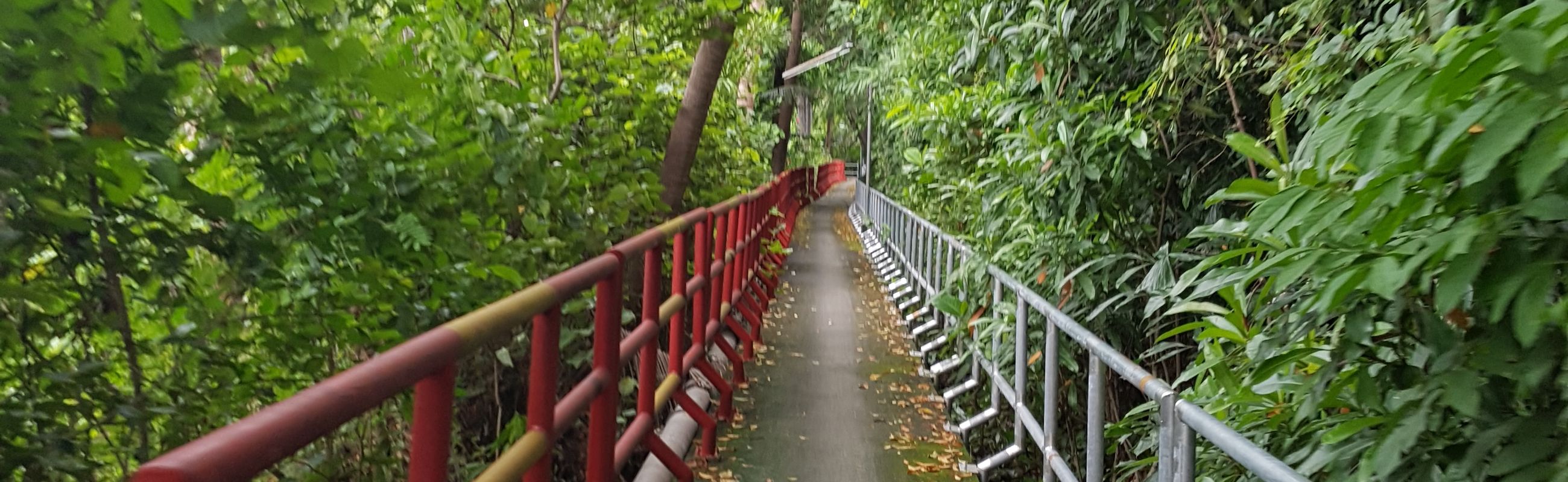 Thalin T. | TakeMeTour