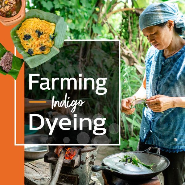 Local Look at Isan: Farming, Indigo Dyeing and Dining in Rural Village ...