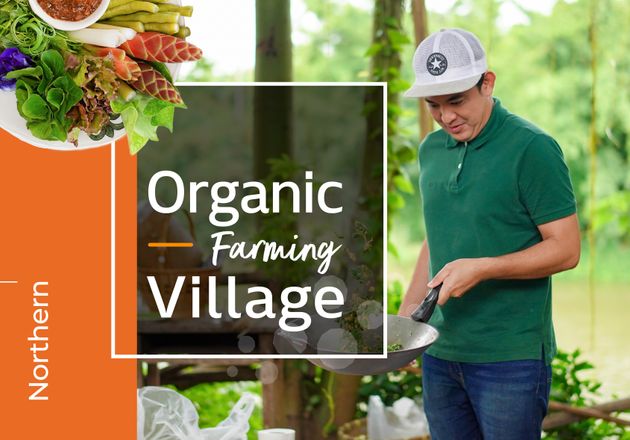 Visit Organic Farming Village with Local Farmer and Taste Northern Thai ...